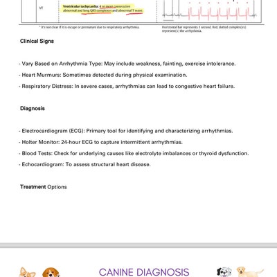 Comprehensive Vet School Notes Bundle for NAVLE Prep Complete Vet Med ...