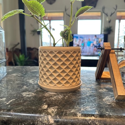 The Estrella Planter in Dark Green Drainage Hole and Tray Modern Indoor ...