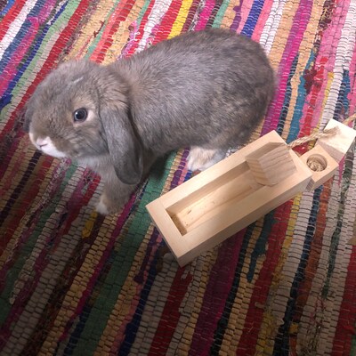 Rabbit Puzzle Treat Toy - Etsy