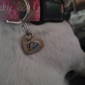 Heart Shaped Dog Tag, Dog Tag for Collar, Dog Tag for Dogs, Dog Name ...