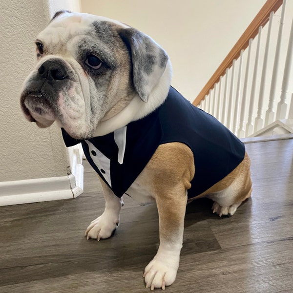 Wedding Tuxedo for Dogs, Formal Dog Tuxedo, Custom Made Dog Suit , Bow ...