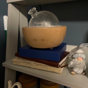 Willow Glass Dome & Wood Grain Diffuser Essential Oil - Etsy