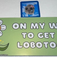 Sad Yeehaw Sad Cute Cowboy Cat Gen Z Sticker, Bumper Sticker and Magnet ...