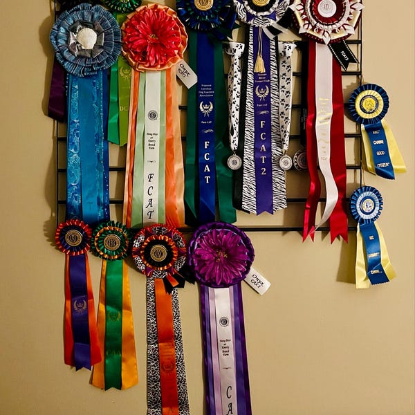 Horse Show Ribbon Display: Equestrian Rosette Holder - Etsy