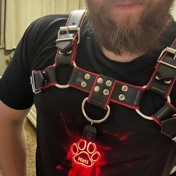 Human Pup Necklace - Light up Dog Tag - Color Changing - Stocking ...