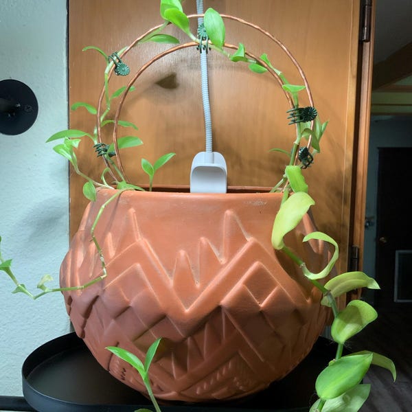 Plant Journal, House Plant Diary, Plant Care Journal, Plant Tracker ...