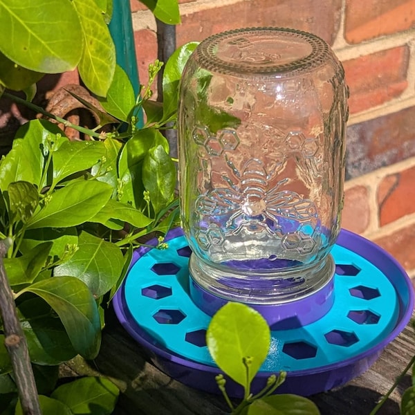 Monarch Butterfly Raising Kit- Butterfly Raising Kit, Milkweed Floral ...