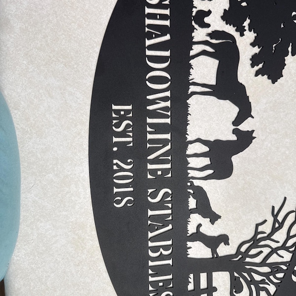 Custom Raccoon Metal Sign, Raccoon Metal Wall Art, Racoon Gift, Raccoon ...