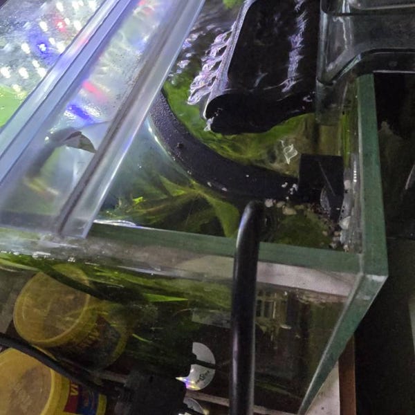 HOB Filter Floater Protection: Water Level Adjuster, Fish & Shrimp ...