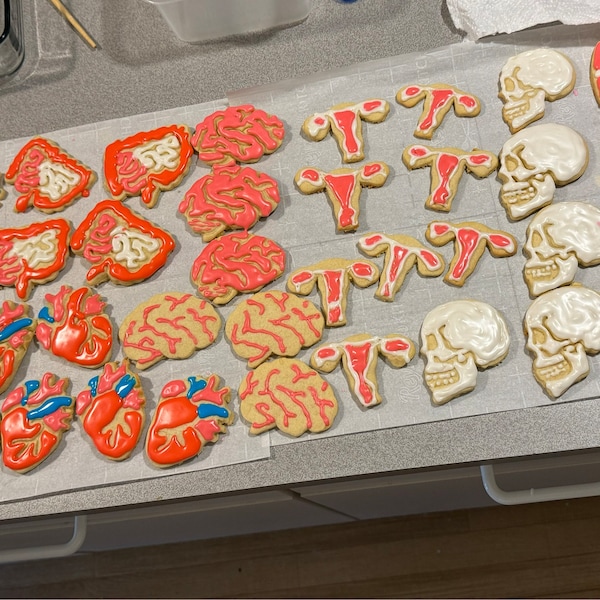 Anatomy Cookie Cutter Set - Medical Student Gift Anatomical Heart ...