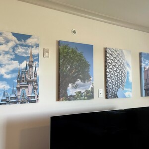 The Tree of Life at Night Animal Kingdom Photo Prints and Canvas Wraps, Walt Disney World - Etsy