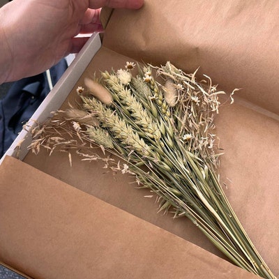 Send a Sentiment the Neutral One Letterbox Flower Post Flowers Happy ...