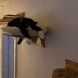 Large Wall Mounted Floating Cat Perch Bed With Pillow and Paw Shape ...