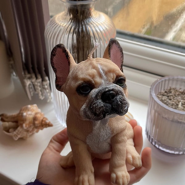 Large French Bulldog Candle | Frenchie | Bulldog - Etsy UK