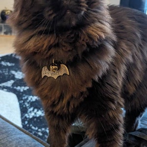 Mini Dog Tag for Dogs, the Bean, Dog Tag, Kidney Bean, Personalized ...