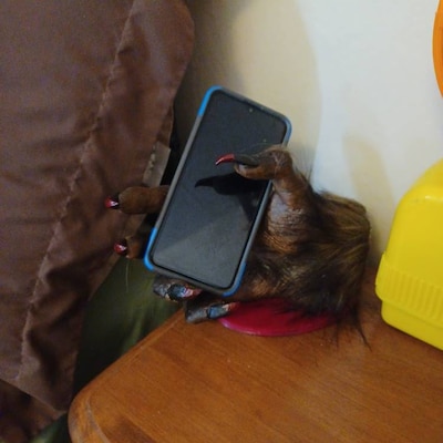 Creature Hand Cell Phone Stand Creature From the Black - Etsy