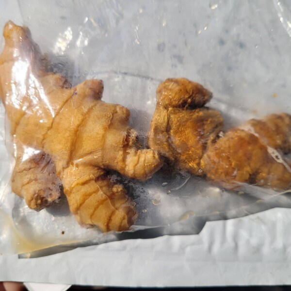 Eau De Cologne Mint Cutting - Eau De Cologne Mint - Mentha X Piperita F ...