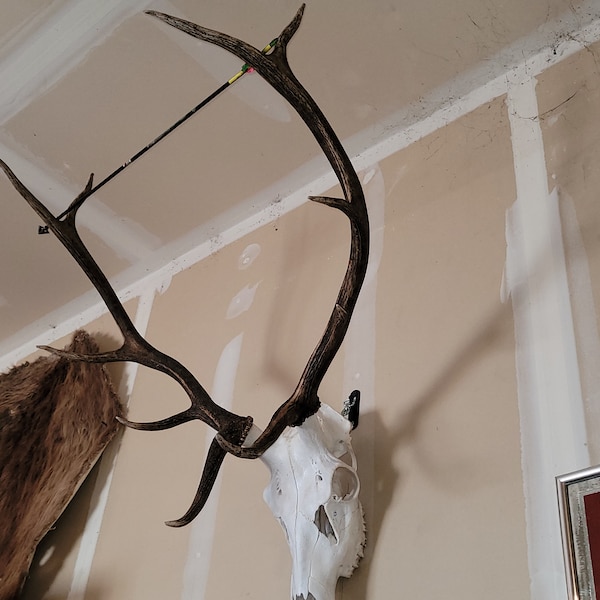 Large European Mount Hanger - Etsy