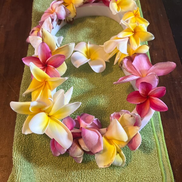 3D Printed Lei Vase - Etsy