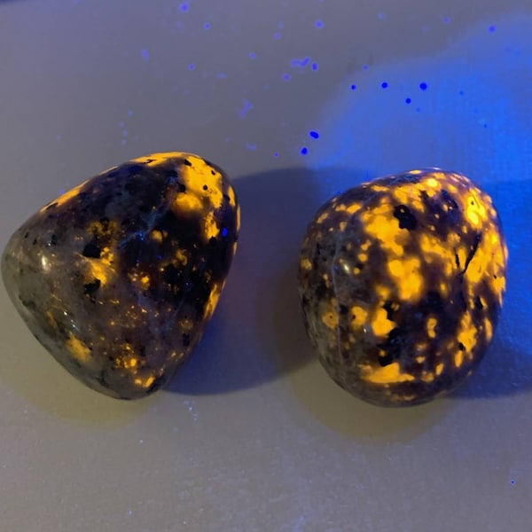 Yooperlite Tumble Stone, Natural UV Fluorescent Sodalite Polished ...