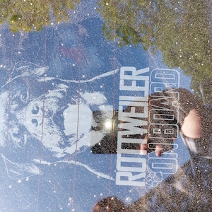 Animals in Transit Car Window Sticker Dog Bumper Sign - Etsy UK