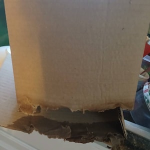 Play Some Dolph Hat - Etsy