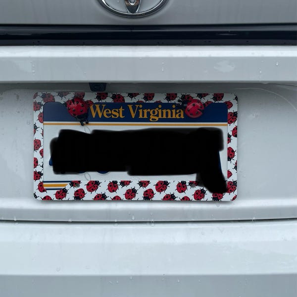 Lady Bug License Plate Screws - Etsy