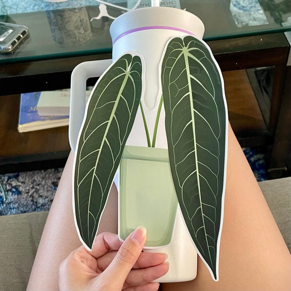 Rare Plant Sticker - Monstera Albo (monstera Deliciosa Variegated Plant ...