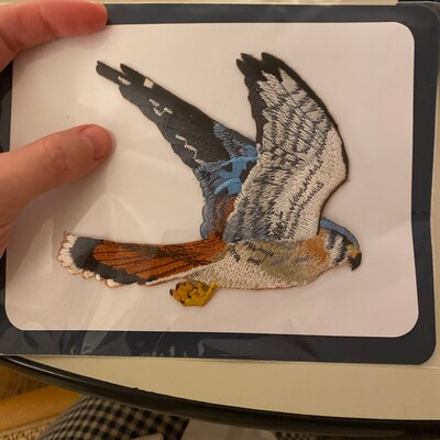 American Kestrel Falcon, Falconry, Falconer, Birds of Prey, Embroidered ...