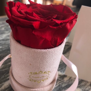 One Year Roses Evil Eye Evil Eye Charm Forever Roses Rose - Etsy Canada