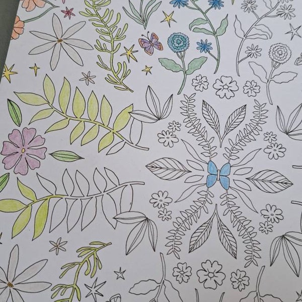 WILD WOMEN COLOURING Book - Positive Affirmation | Relaxing Art Therapy ...