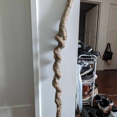 Roman Vitis Stick 3638 etsy - Etsy