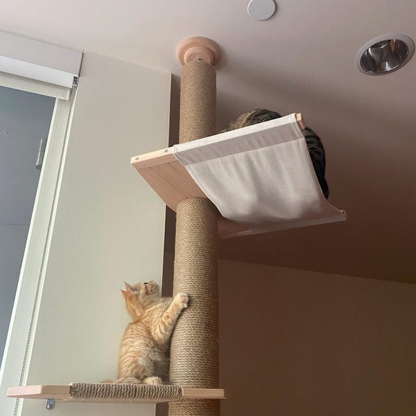 Modern Climber Cat Tree With Hammock, Floor to Ceiling Cat Tree Tower ...