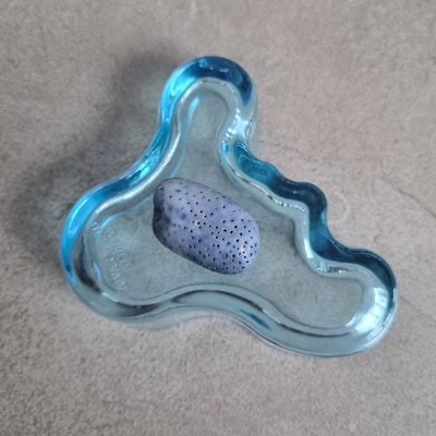 Blue Coral Tumbled Stone Blue Coral Crystal Stones protection Stone ...