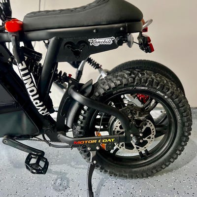 Fred the Frog but Hes a Cowboy / Mini Frog Earrings - Etsy