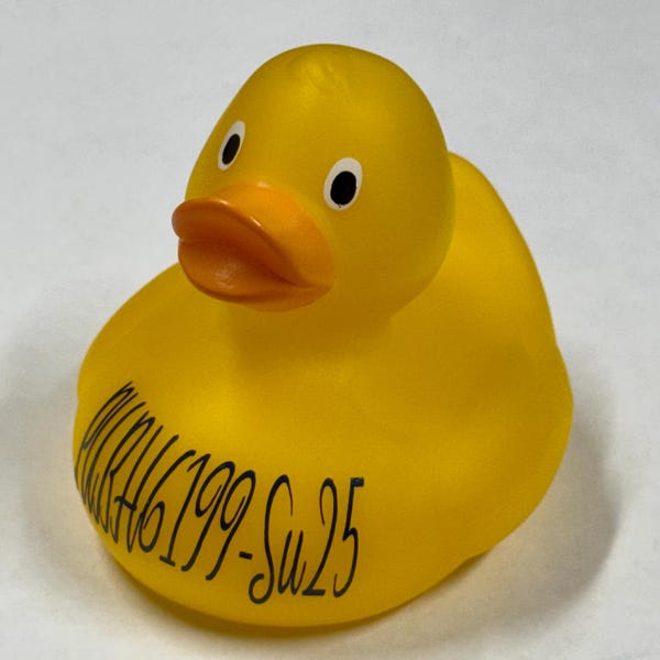 Summertime Fruit Themed Rubber Duck Ducks - Kiwi Strawberry Watermelon ...