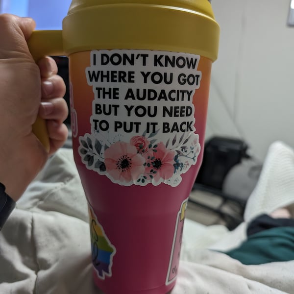 Don’t Know Where You Got the Audacity but You Need to Put It Back Vinyl ...