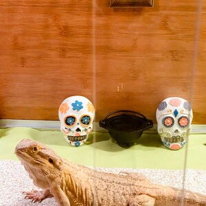 Boston Terrier Fridge Magnet Miss Rascal Whimsical Dog | Etsy