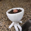 Adventurer Planter Trio | Plant Buddy “trio” | Plant Holder | Unique ...