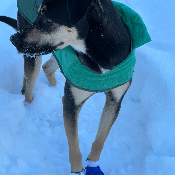 Finish Top Dog Booties (set of 4) Sled Dog Snow Boots Iditarod Boots ...