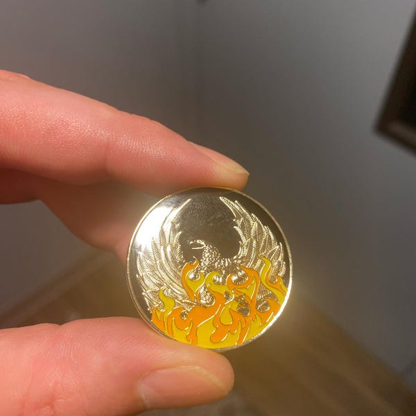 Silver and Black Raider Pirate Yearly 1-50 Alcoholics Anonymous AA ...