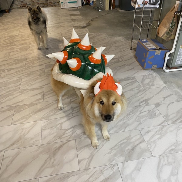 Bowser / Bowsette Shell Foam Template - Etsy