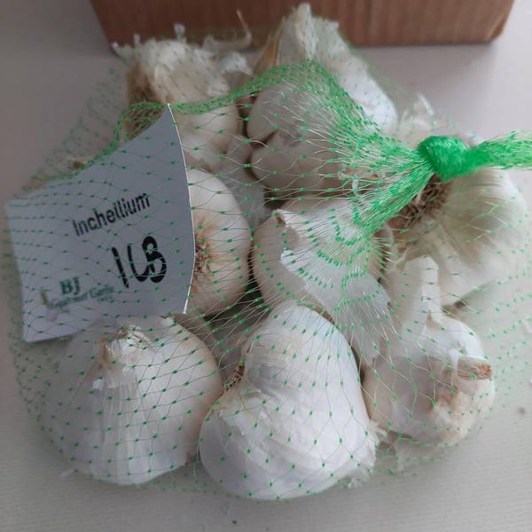 Sweet Fire Relish 16 Ounce Jar BJ Gourmet Garlic Farm - Etsy