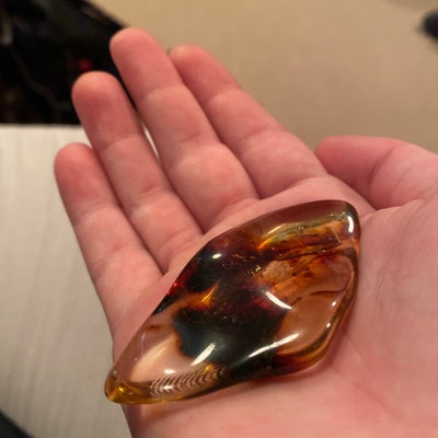 Large Amber Stone, Collectors Specimen, Amber Stone for Display ...