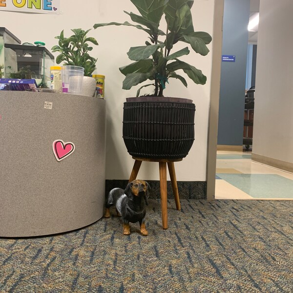 Ancient Greek Statue, Ancient Greek Half-face Statue, Greek Bust Statue ...