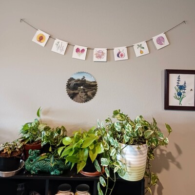 Plant Birthday Card Plant Greeting Card Birthday Plant - Etsy