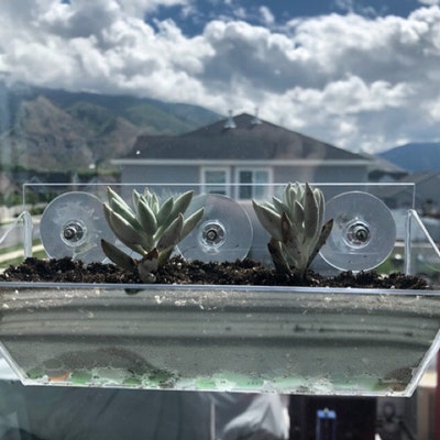 Suction Cup Window Planter Long Triangular Window Box Style 8 Long X 4 ...