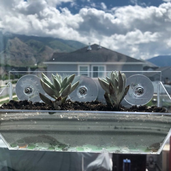 Suction Cup Window Planter - Long Triangular Window Box Style - 8" Long ...