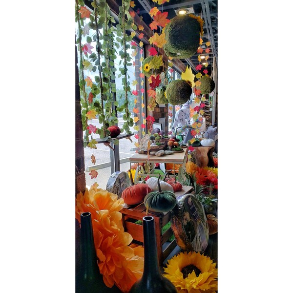 Real Autumn Leaves, 50+, Pressed Fall Decor, Dried Leaves, Economical ...