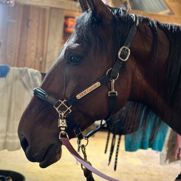 Custom Engraved 4" Solid Brass Halter Plate, Horse Tack Plate ...